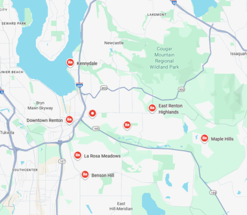 Renton, WA - Tree Service & Pruning - Emergency Service